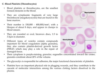 blood and its composition.pdf | Blood Disorders | Diseases and Conditions