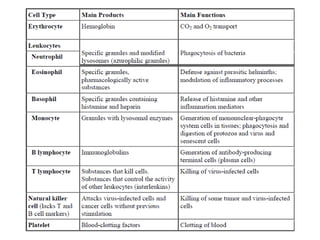 blood and its composition.pdf | Blood Disorders | Diseases and Conditions