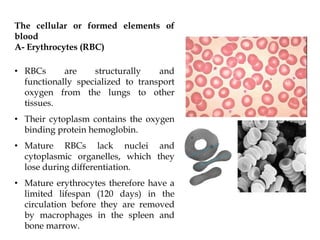 blood and its composition.pdf | Blood Disorders | Diseases and Conditions