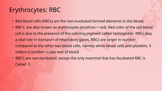 Blood and it’s composition; blood composition and function | PPTX