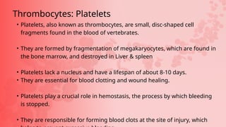 Blood and it’s composition; blood composition and function | PPTX
