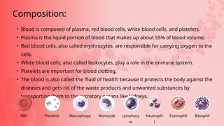 Blood and it’s composition; blood composition and function | PPTX