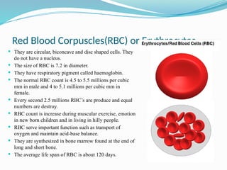 Human Circulatory System- Human Blood and Its Composition.pptx
