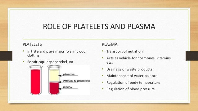 Blood and its importance