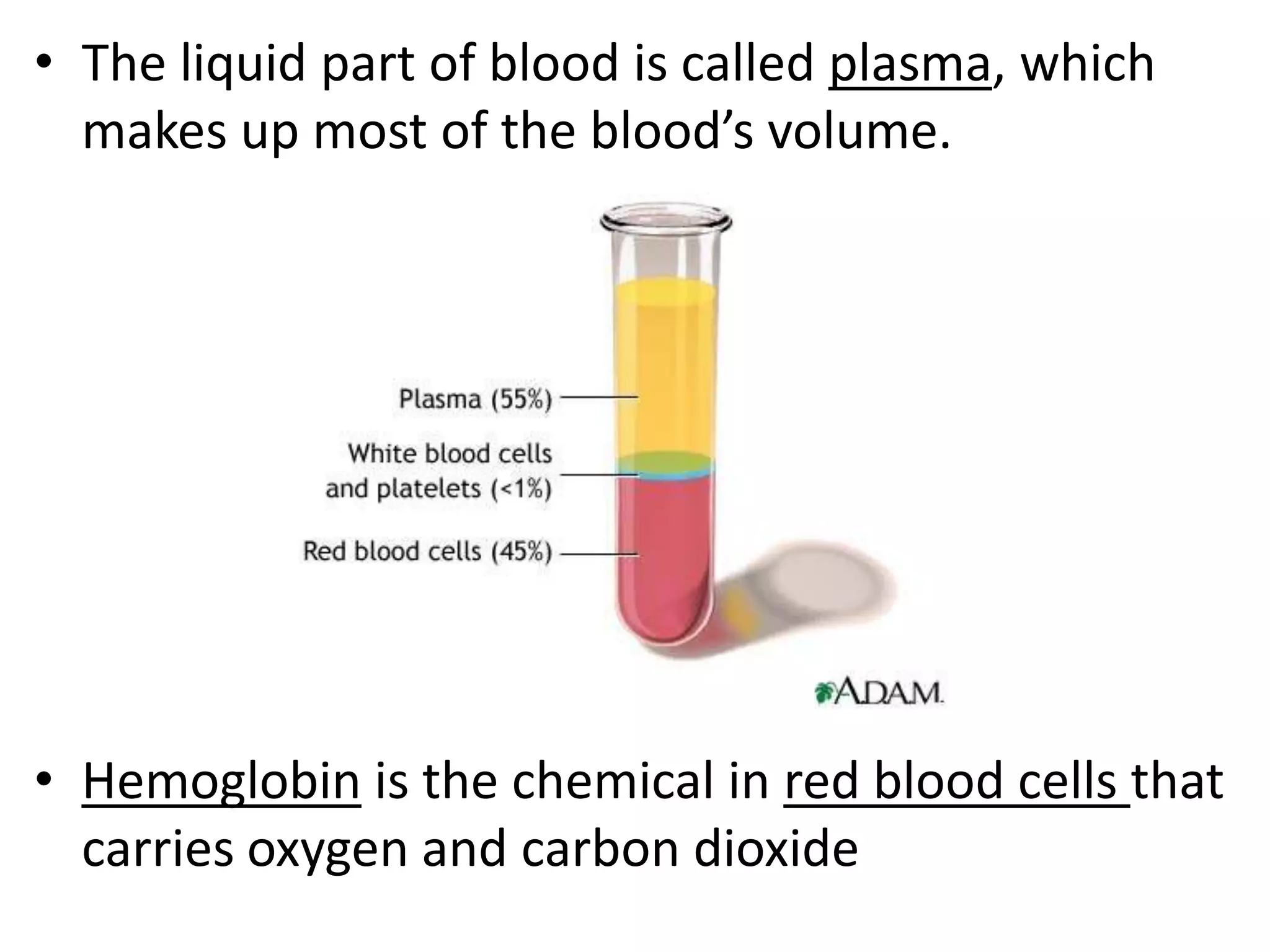 Blood and lymphatic system | PPTX