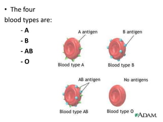 Blood and lymphatic system | PPTX