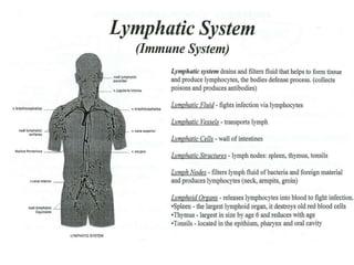 Blood and lymphatic system | PPTX
