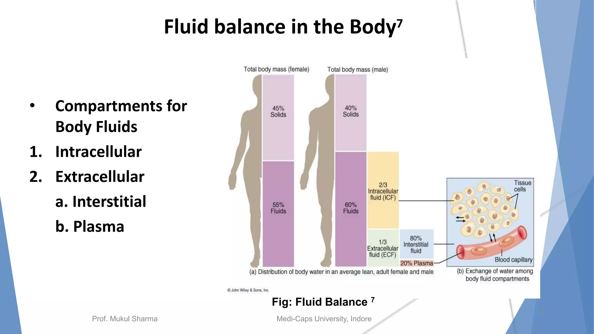 Blood and lymphatic system | PPT