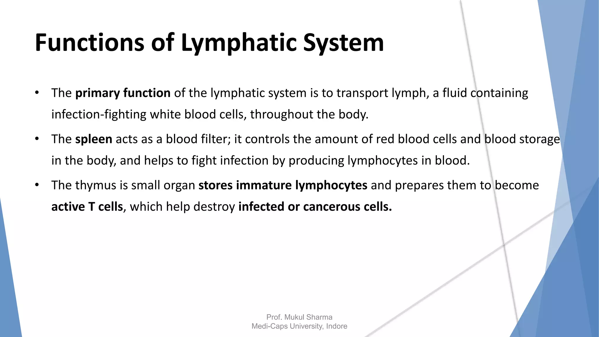 Blood and lymphatic system | PPT