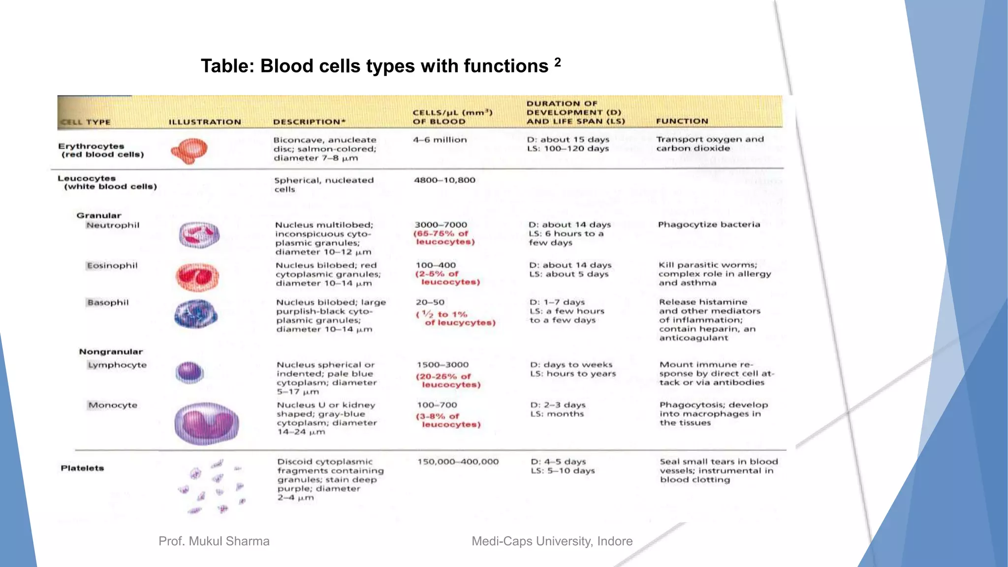 Blood and lymphatic system | PPT