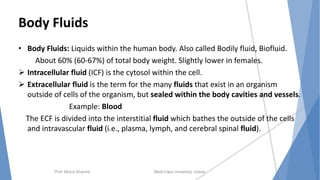 Blood and lymphatic system | PPT