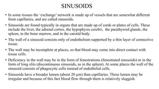 Blood and Lymphatic Vessels by Mrs Umeano.pptx