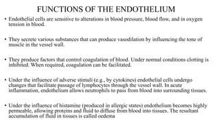 Blood and Lymphatic Vessels by Mrs Umeano.pptx | Heart and ...