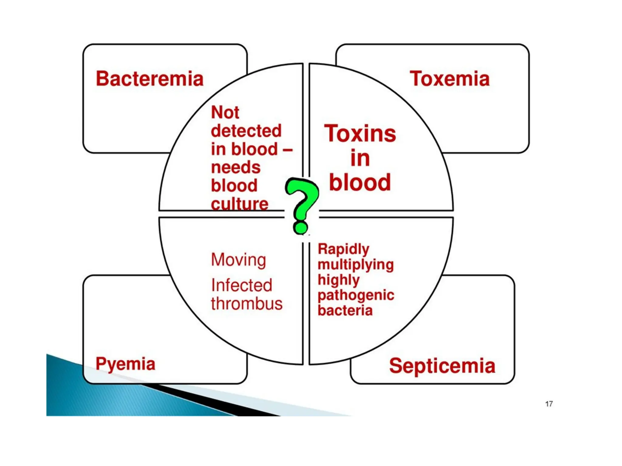 Blood and lymph (Septicemia).pptx Practical 1.pptx