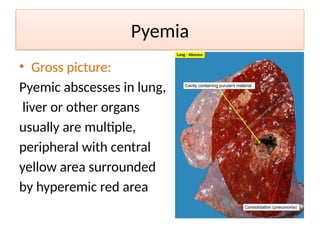 Blood and lymph (Septicemia).pptx Practical 1.pptx