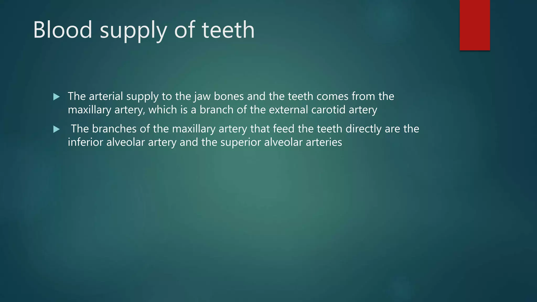 Blood and nerve supply of teeth | PPTX