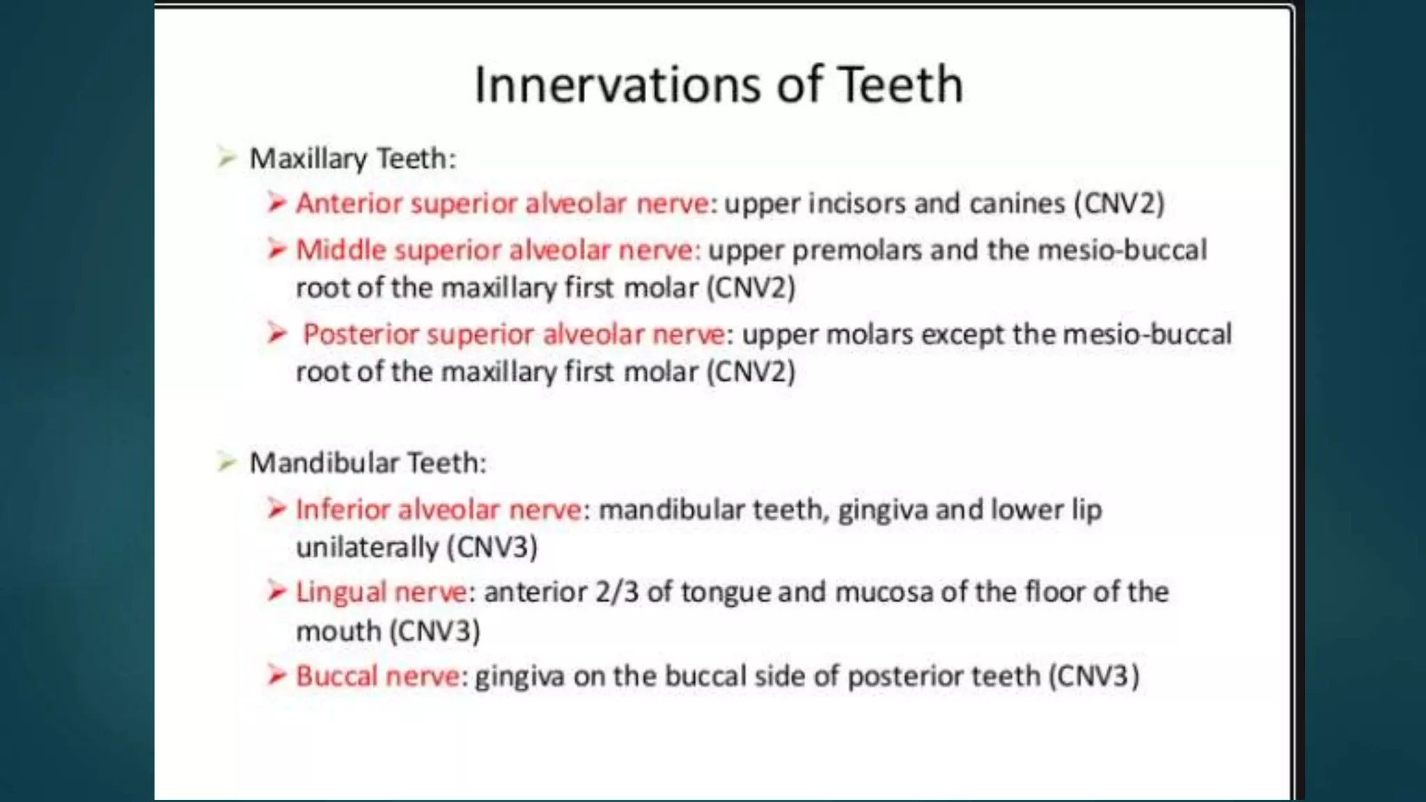 Blood and nerve supply of teeth | PPTX