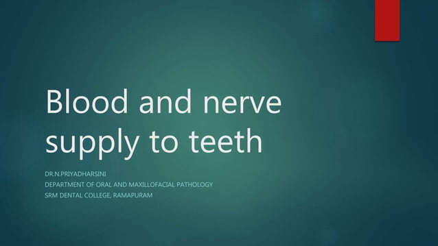Blood and nerve supply of teeth | PPTX