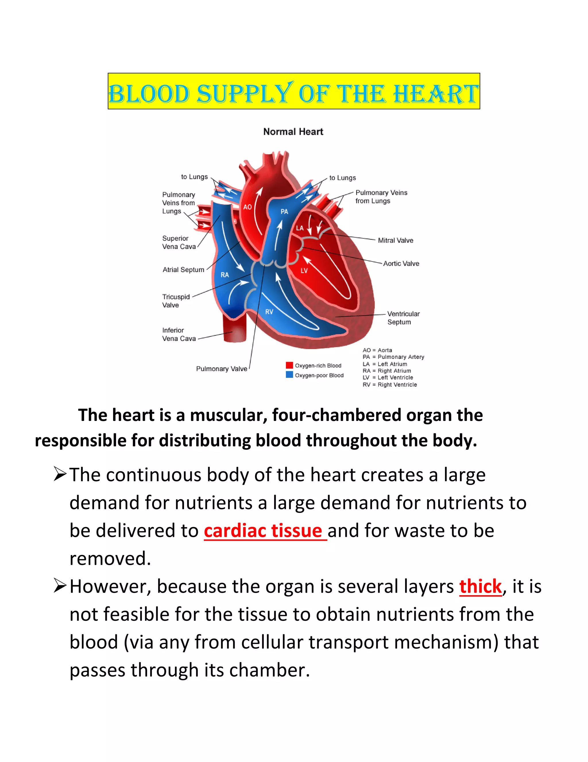 Blood and Nerve supply of the heart | PDF