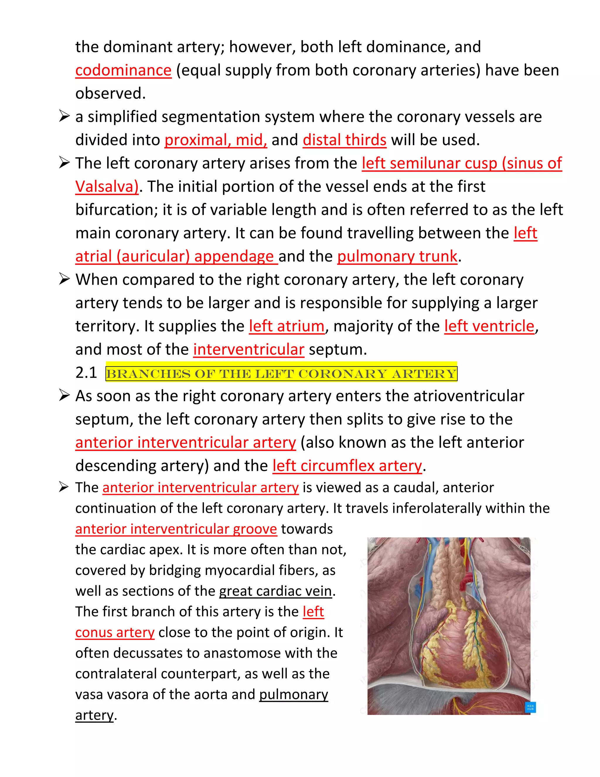 Blood and Nerve supply of the heart | PDF