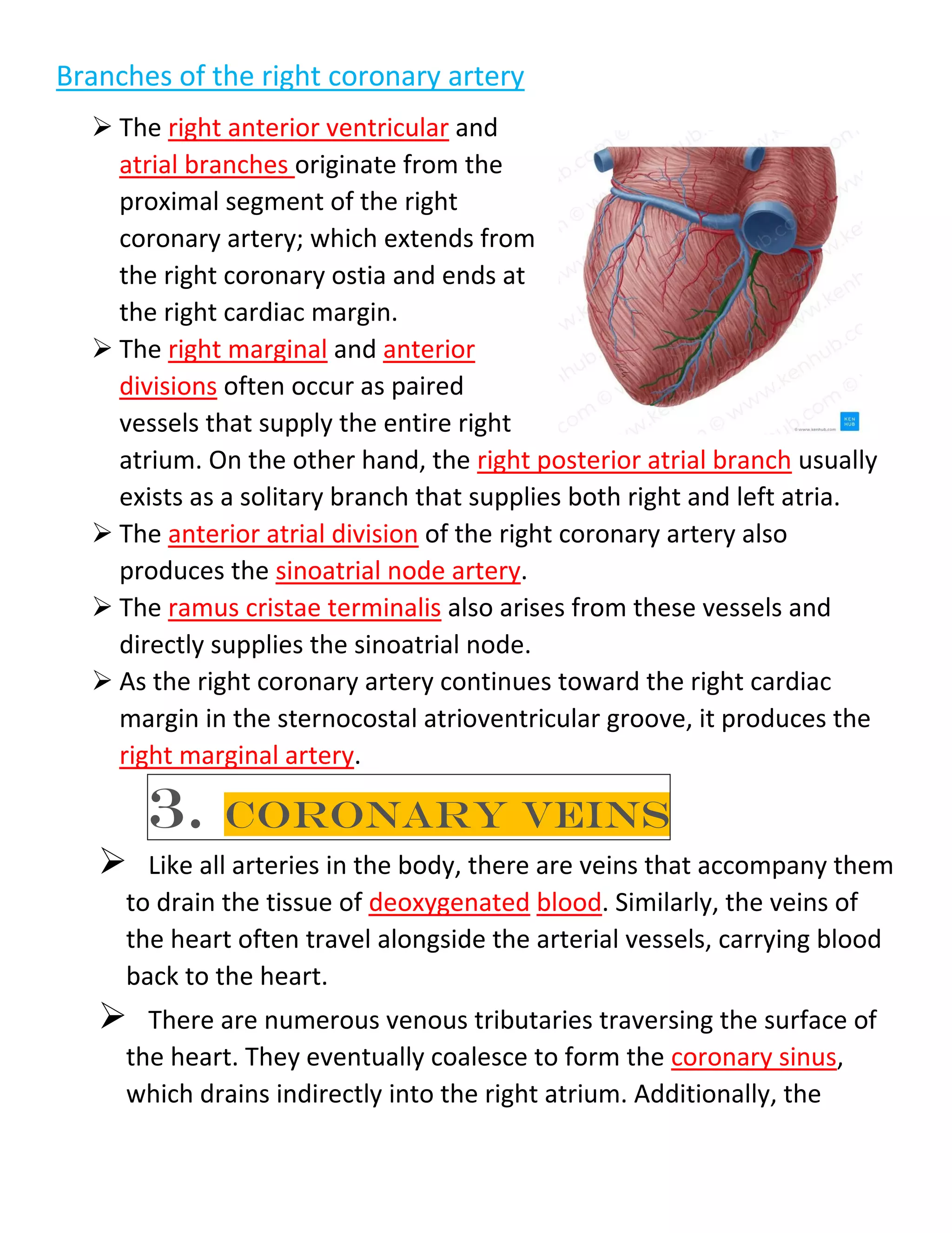 Blood and Nerve supply of the heart | PDF