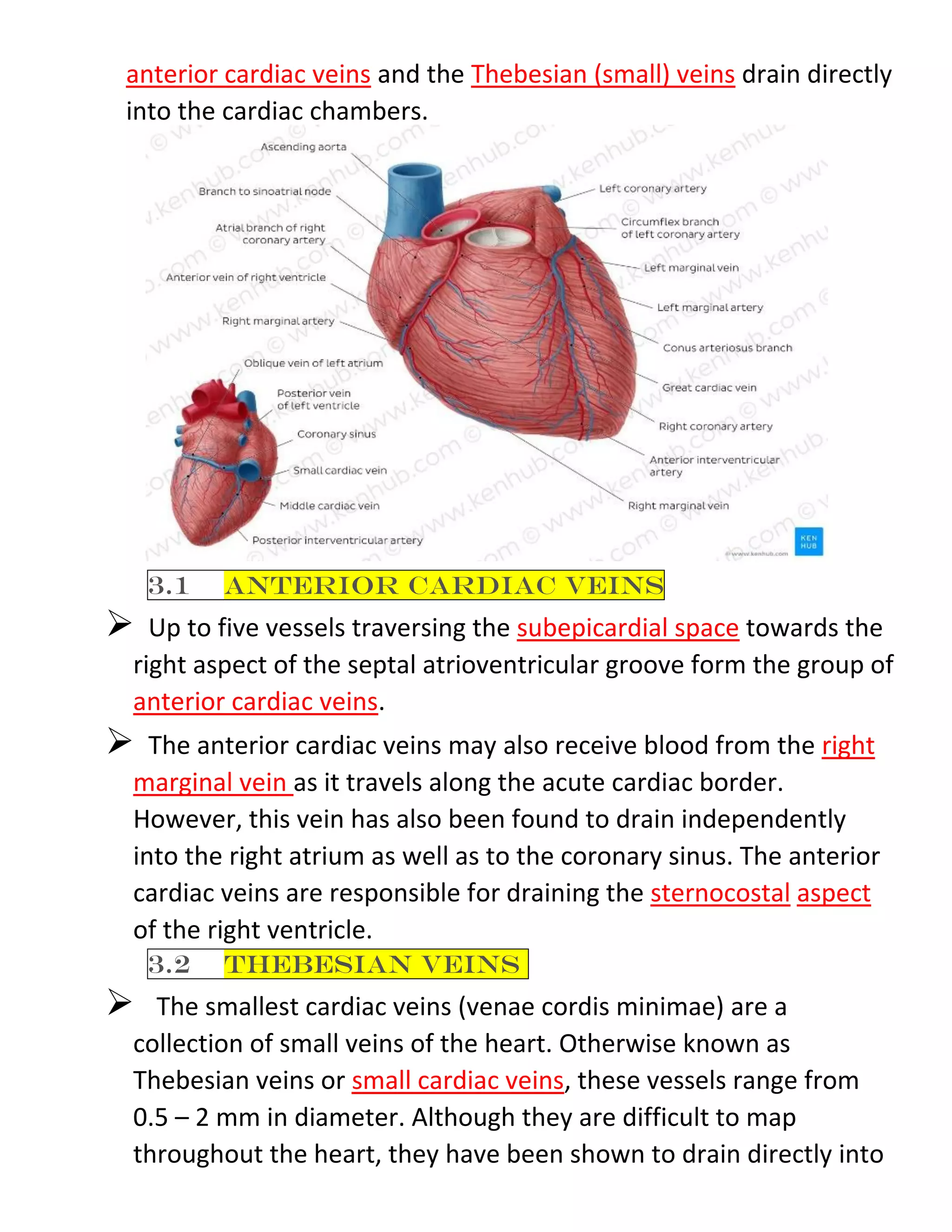 Anterior Cardiac Vein