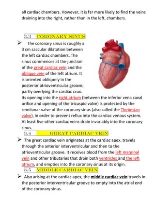Blood and Nerve supply of the heart | PDF