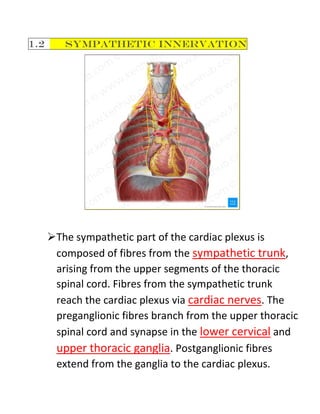 Blood and Nerve supply of the heart | PDF