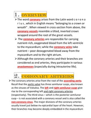 Blood and Nerve supply of the heart | PDF