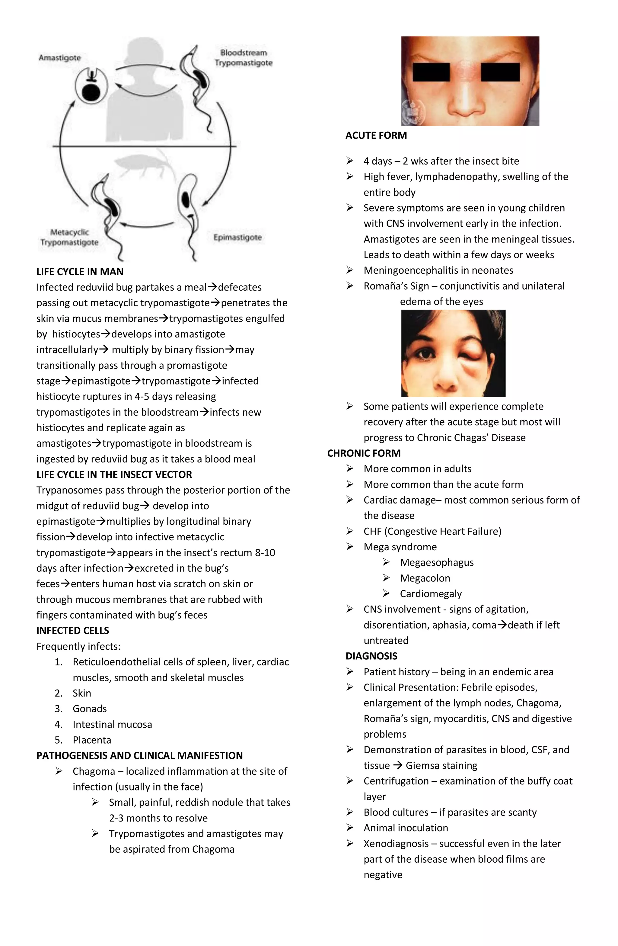Blood and tissue flagellates | PDF