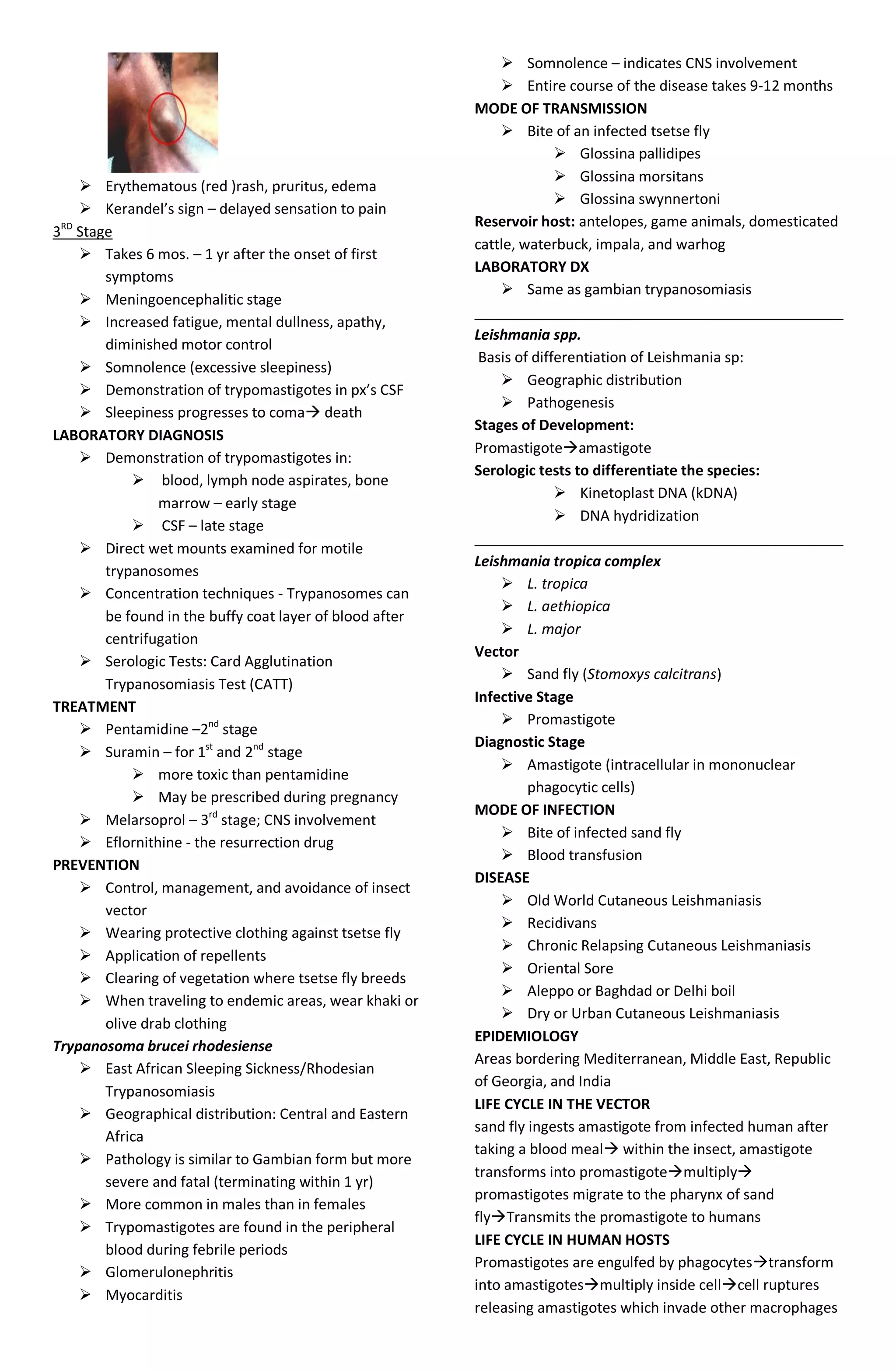 Blood and tissue flagellates | PDF