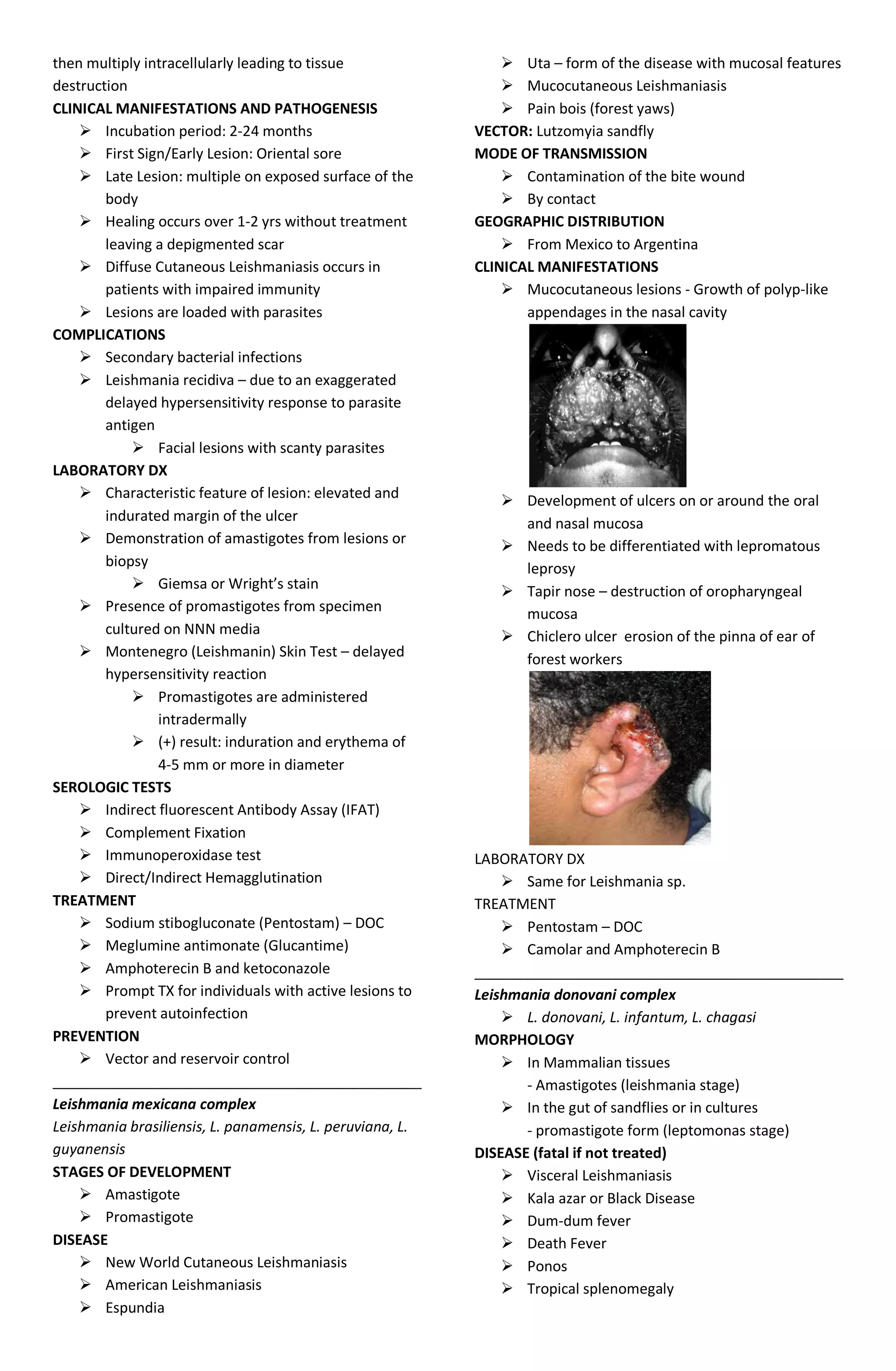 Blood and tissue flagellates | PDF