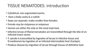 Blood and tissue nematodes slide presentation | PPTX