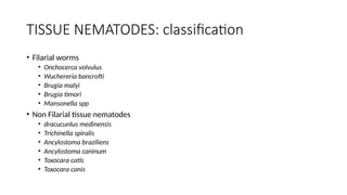 Blood and tissue nematodes slide presentation | PPTX
