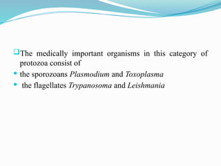 Blood and Tissue Protozoa pptx (2)..pptx