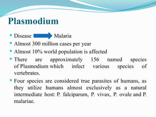 Blood and Tissue Protozoa pptx (2)..pptx