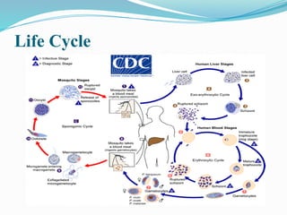 Blood and Tissue Protozoa pptx (2)..pptx