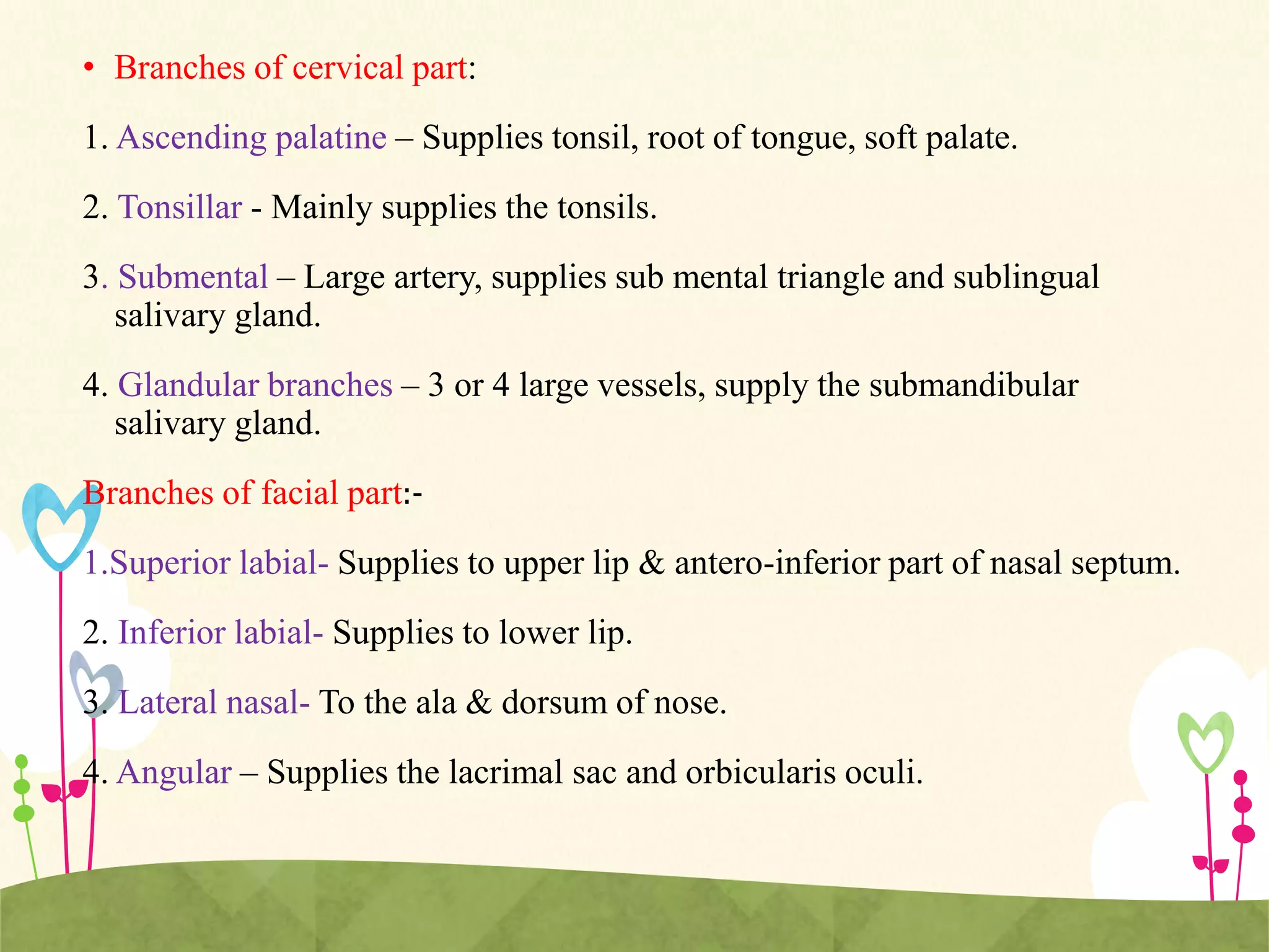 Blood and venous supply of head, neck and face | PPTX