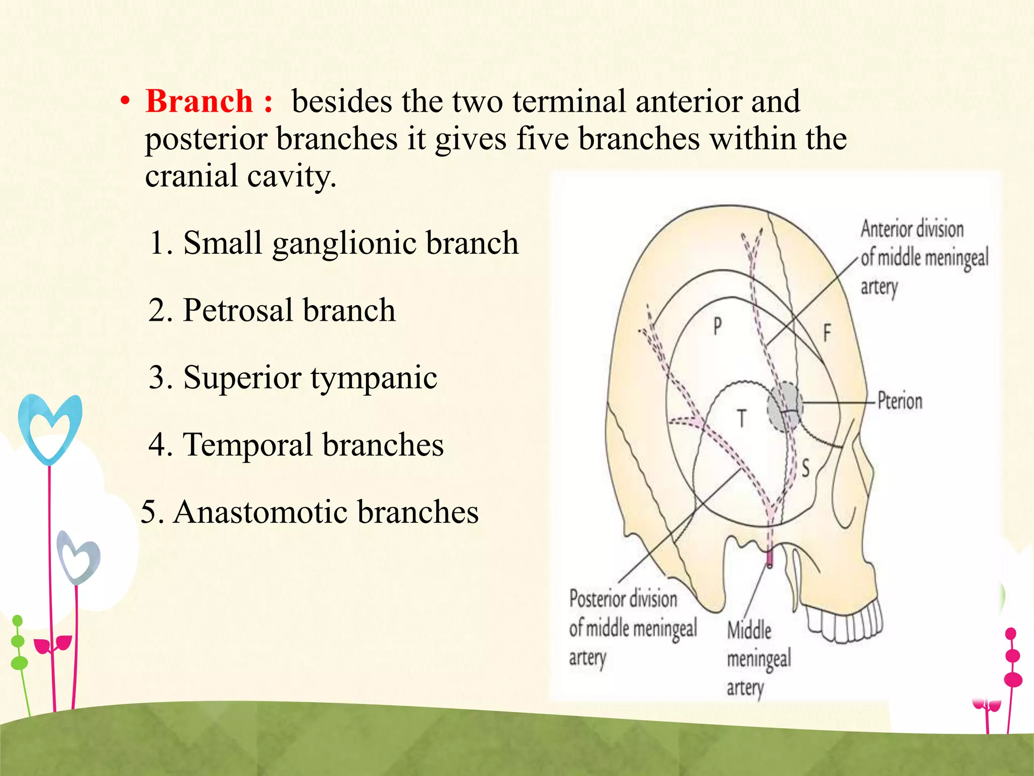 Blood and venous supply of head, neck and face | PPT