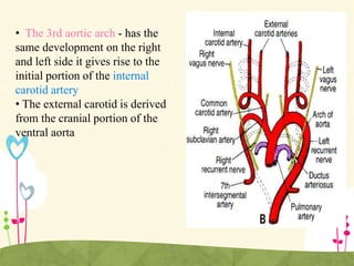 Blood and venous supply of head, neck and face | PPTX
