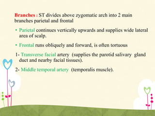 Blood and venous supply of head, neck and face | PPTX