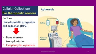 Blood Apheresis technologies.Laboratory Evaluation.pdf