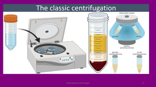Blood Apheresis technologies.Laboratory Evaluation.pdf
