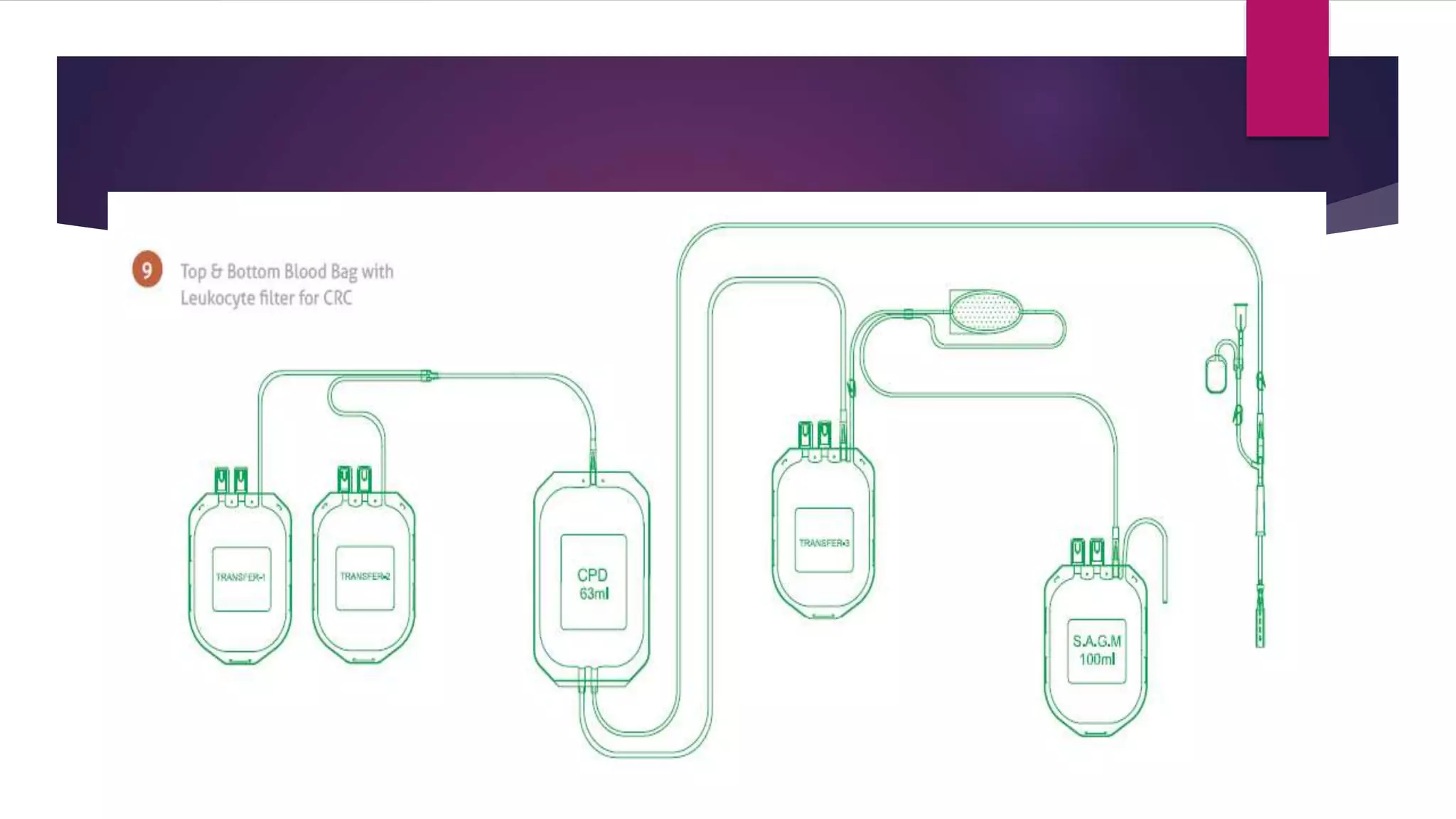 Blood bags and its anticoagulants | PPTX