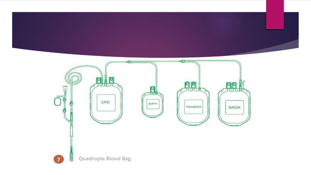 Blood bags and its anticoagulants | PPTX