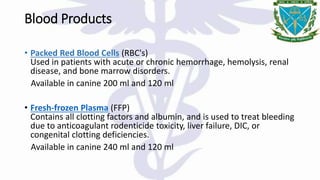 animal Blood banking | PPTX