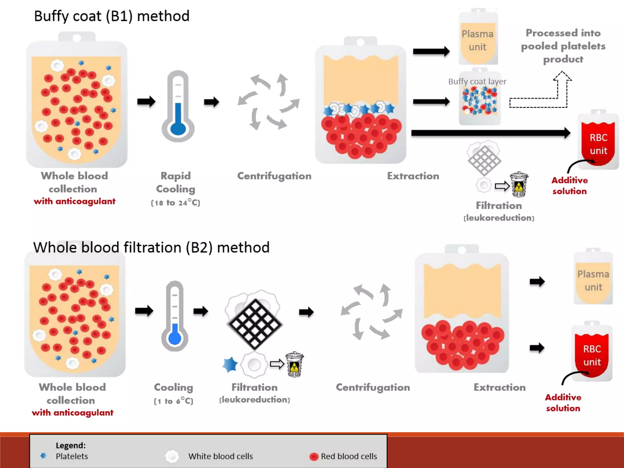 Blood bank | PPTX