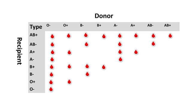 Blood bank | PPT