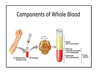 Blood bank and its significance | PPTX