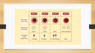 BLOOD BANKING.pptx